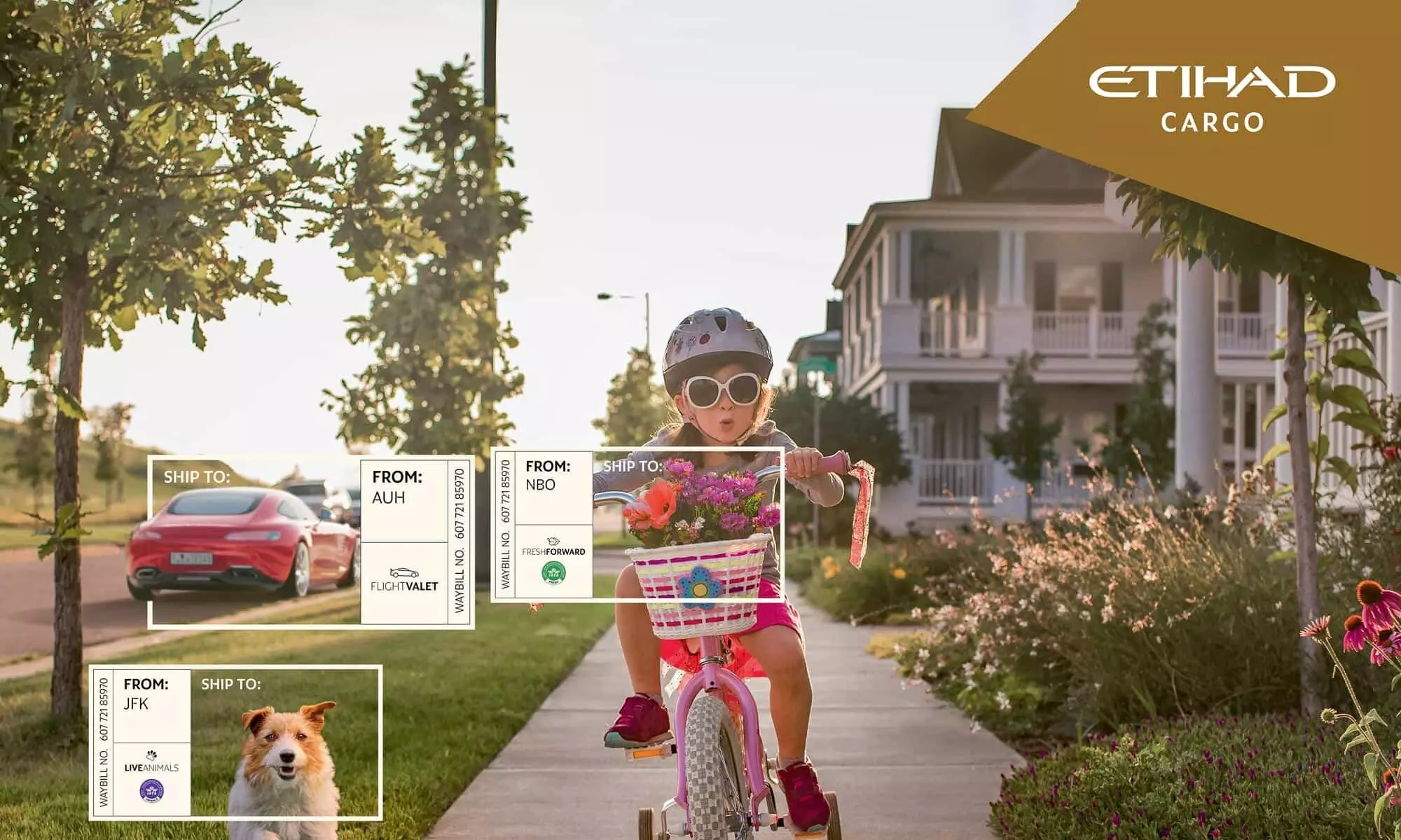 Etihad Cargo launches Beyond Borders campaign - Avia Updates Cargo